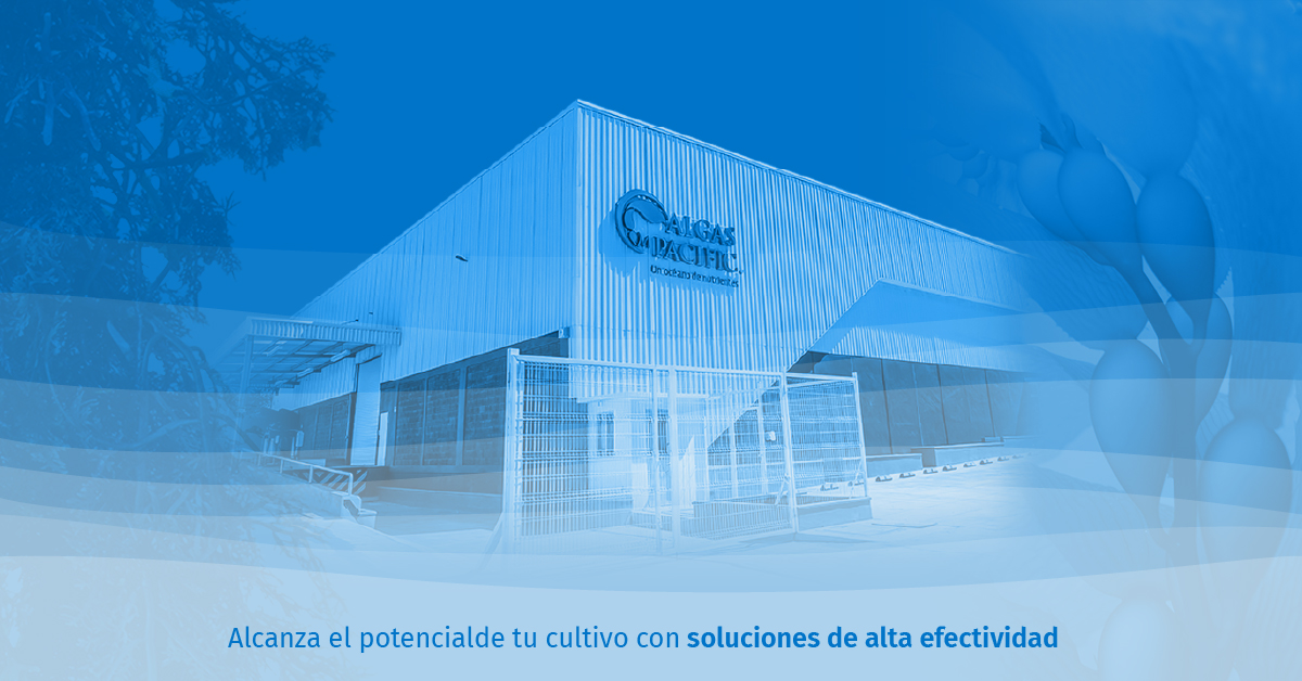 Sales Points | Algas Pacific