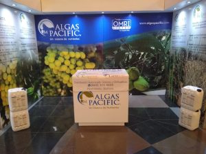 ALGAS PACIFIC® in CIVENH | Algas Pacific