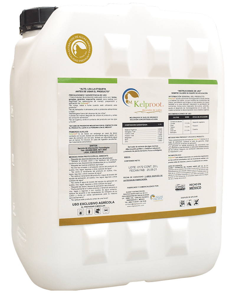 Kelproot | Algas Pacific