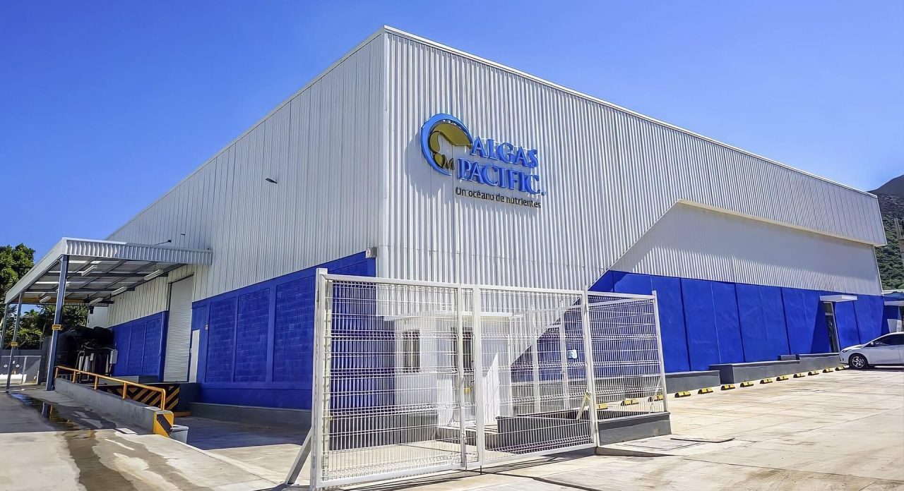 Inicio | Algas Pacific