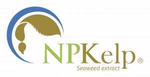 NPKelp | Algas Pacific